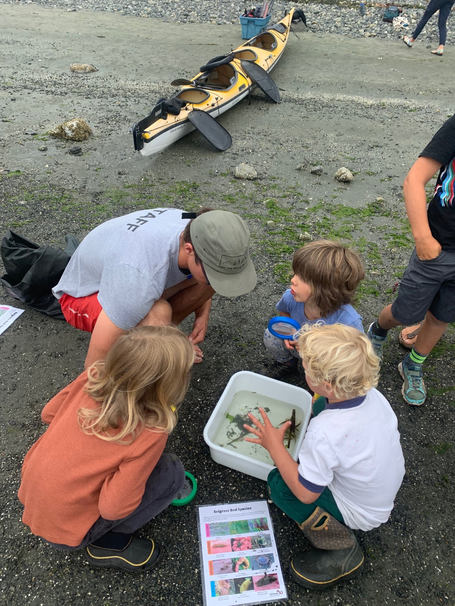 Beach Seine | The Official Tourism Tofino